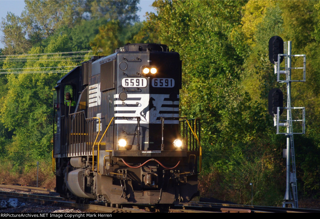 NS 6591